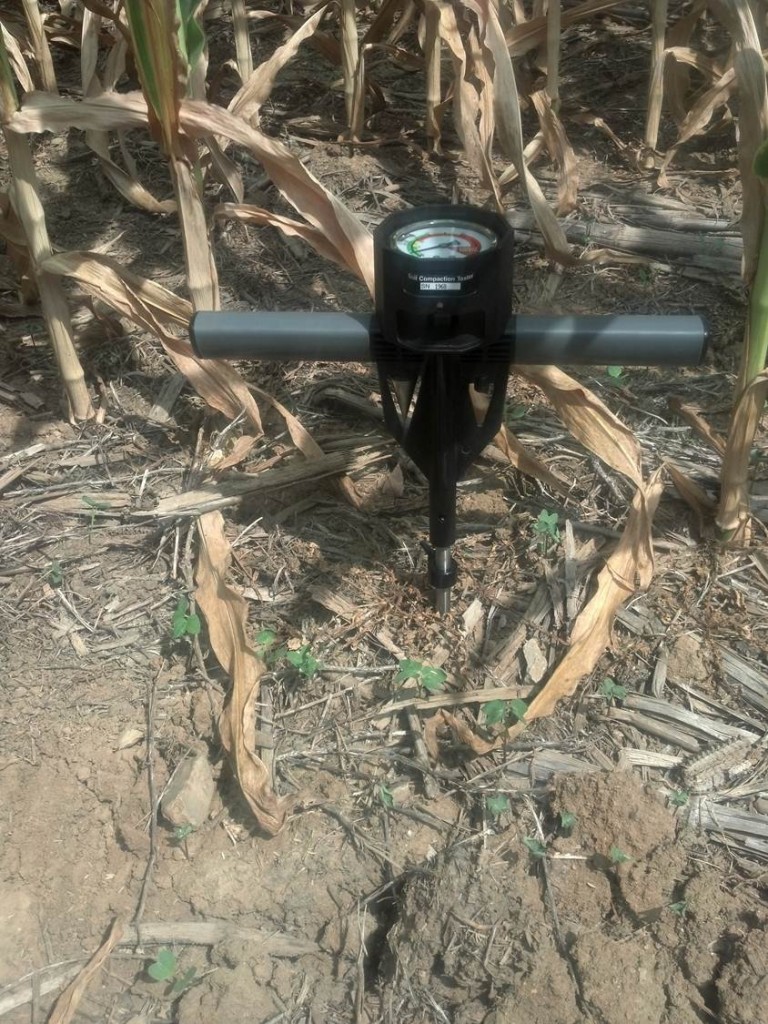 On-Farm Research Reveals Cover Crops Reduce Compaction - Plant Cover Crops