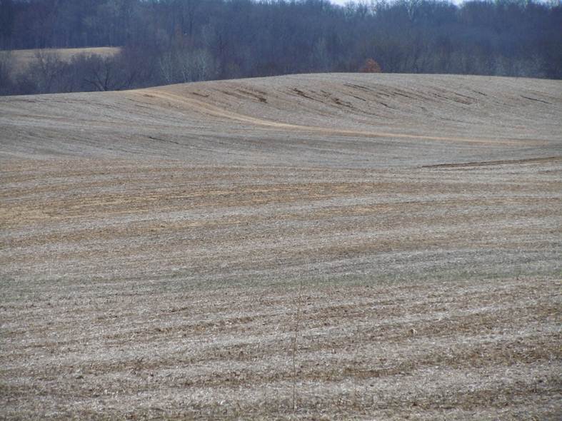Erosion Control - Plant Cover Crops