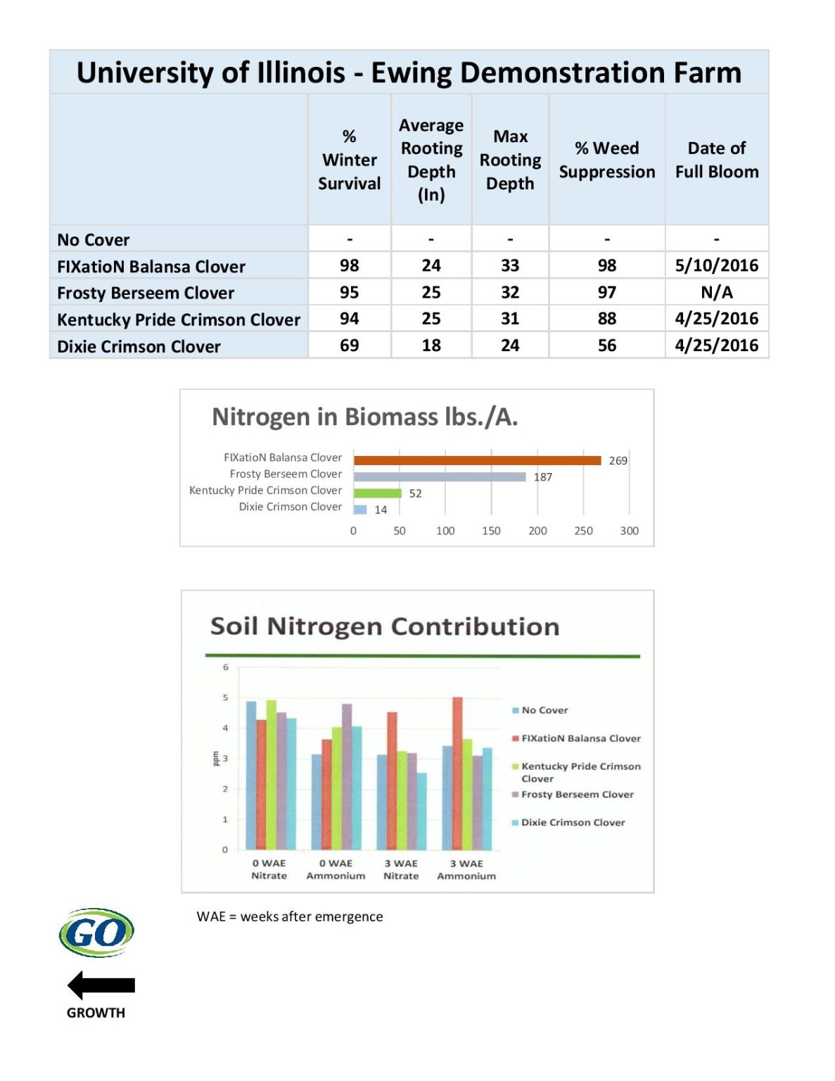 Balansa Clover - Plant Cover Crops