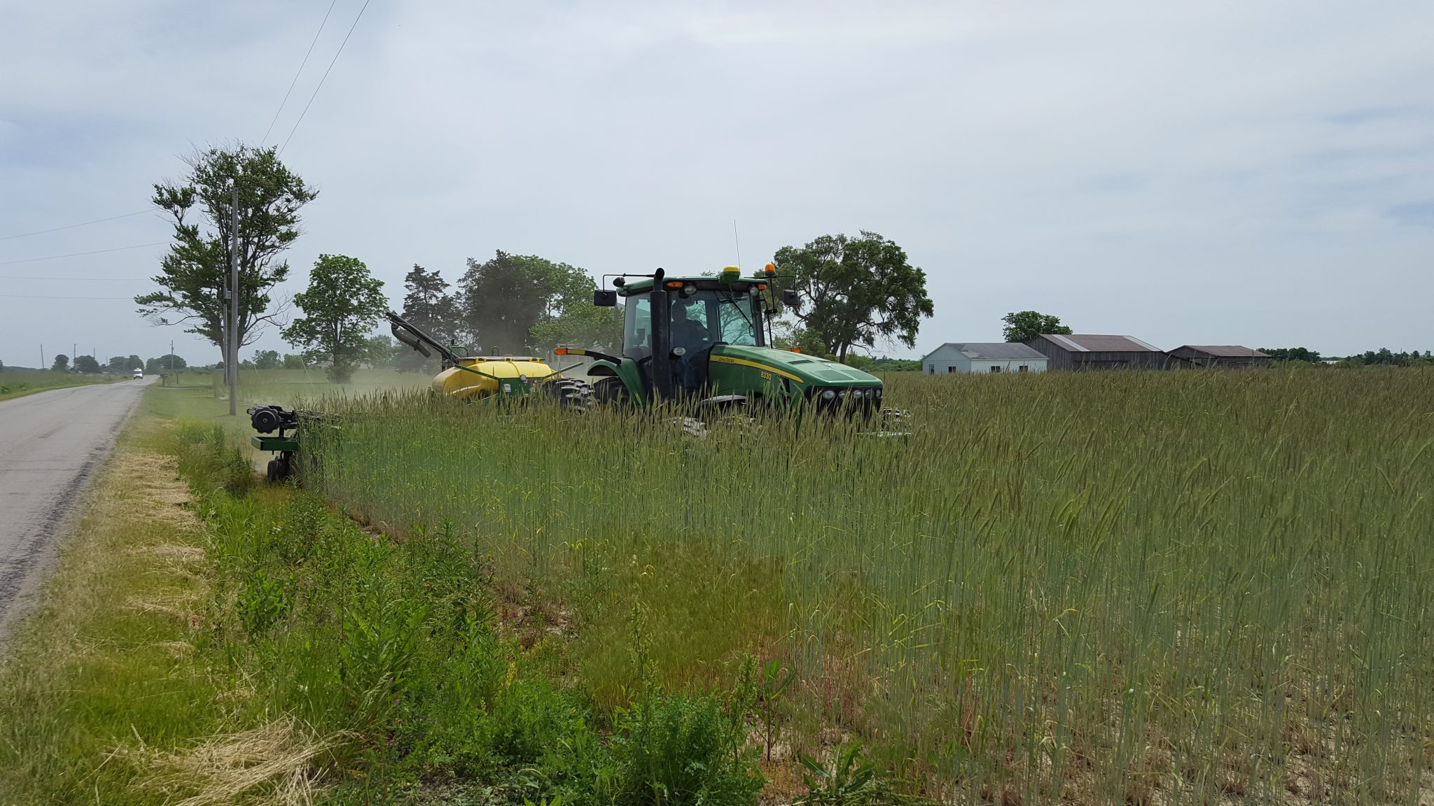 What's So Special About Cover Crops? - Plant Cover Crops